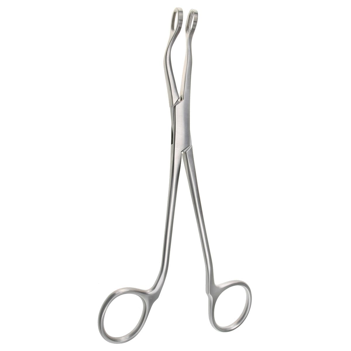 St. Claire Thompson Adenoid Forceps 7 1/4" — Premium German-crafted ...