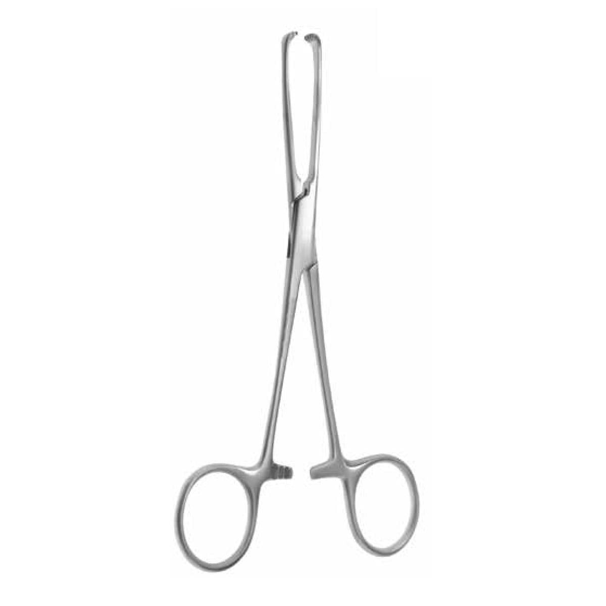 6" Boys-Allis Forceps - heavy 5x6 | Surgical Instrument | BOSS Surgical ...