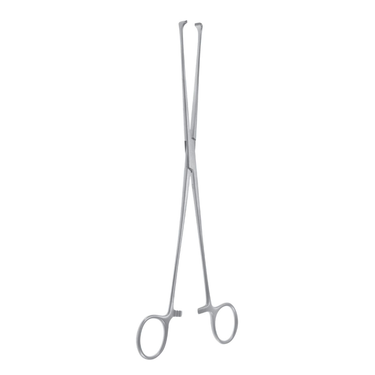 allis clamp forceps