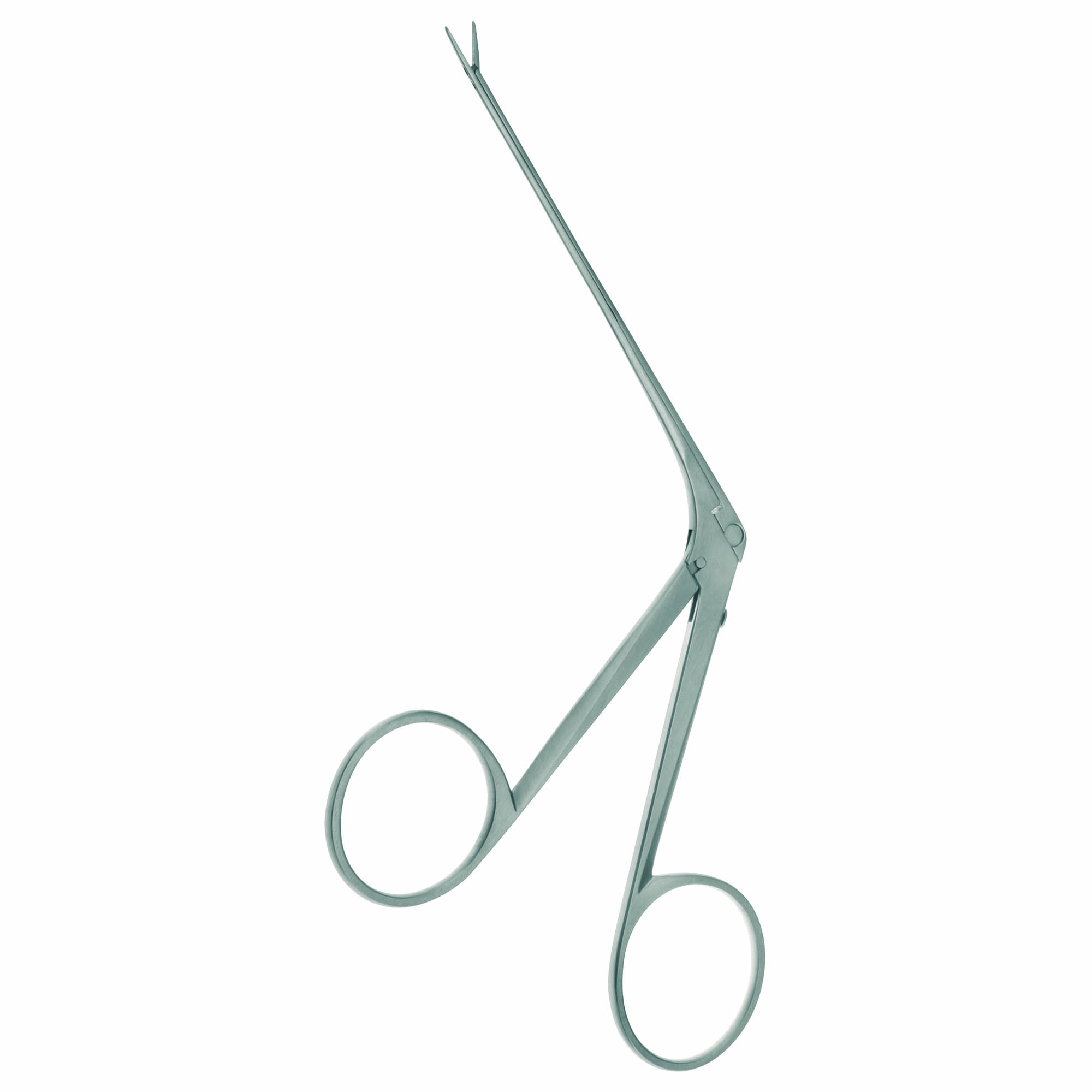 Alligator Ear Fcp smooth 5mm | Surgical Instrument | BOSS Surgical ...