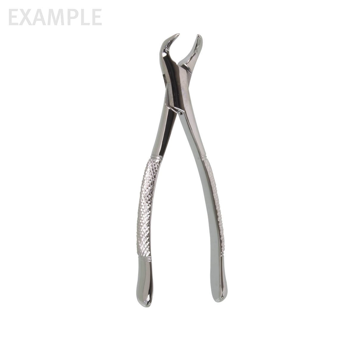 Oral Surgery Exodontia Extractor Forceps - 151 lower | | BOSS Instruments